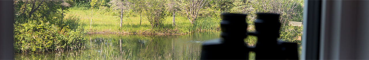 inner-banner-1 – Retreat Centre